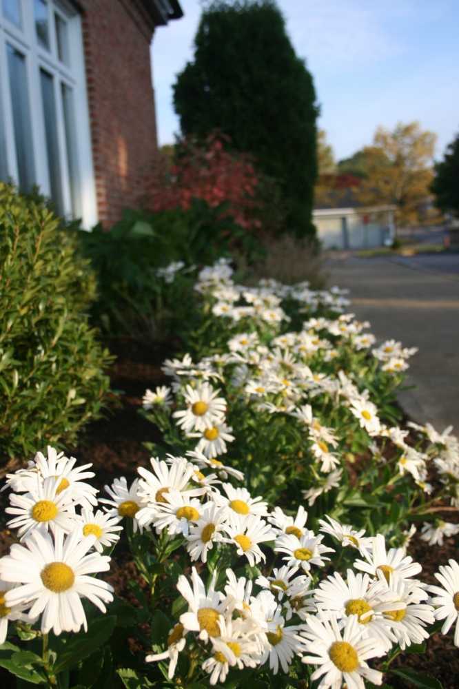 Pools, Patios, Gardens and More!