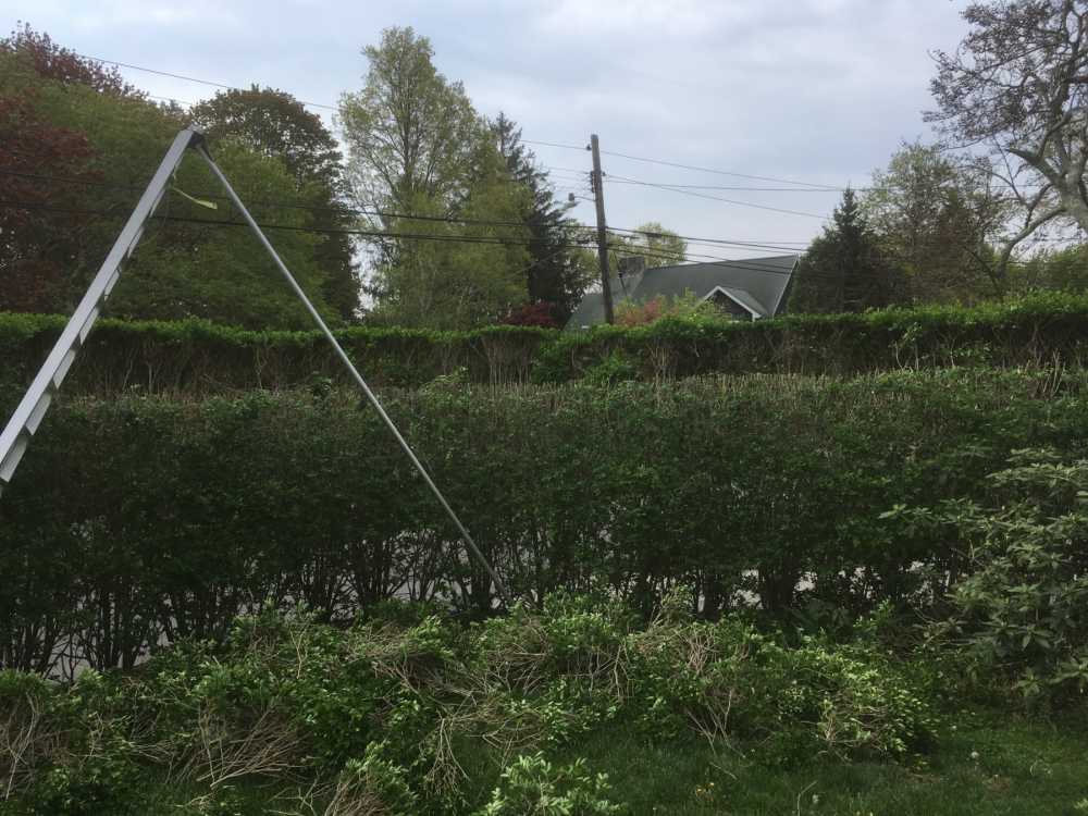 No description provided.