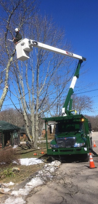 Tree Service Trucks
